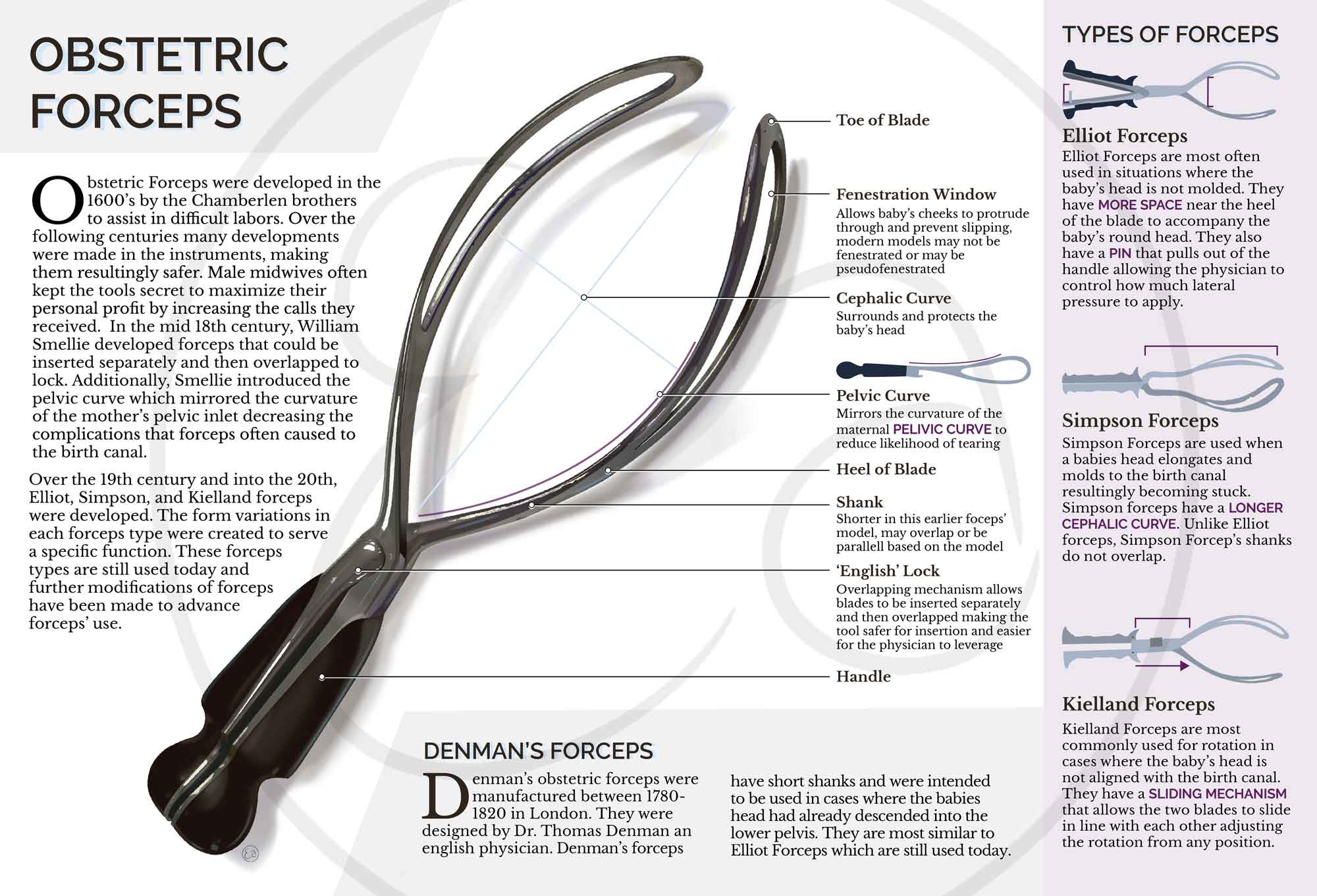 Obstetric Forceps Informational Poster and Realistic Vector ...