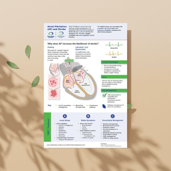 Why Graphic Design with BioMedical Illustration? – Emily Adams ...
